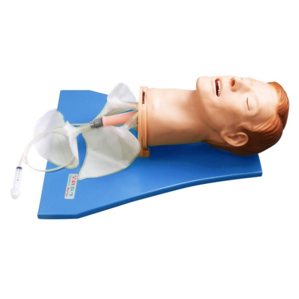Quality EMS Simulator / Airway training manikins for Observe Lung Respiratory Movement Training for sale