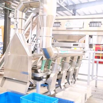 Quality CE Verified 380V Pecan Shelling Machine With High Perfect Kernel Rate for sale