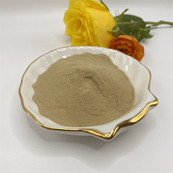 Quality Water Solubility 100% Amino Acid 50 Fertilizer Light Brown Powder for sale