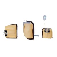 Quality Vivid Human Torso Training and Education Model Advanced PVC Spinal Puncture for sale