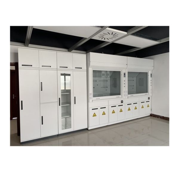 Quality ISO14001 Certified High Wind Speeds Fume Hood for Laboratory Bench Table Equipment for sale