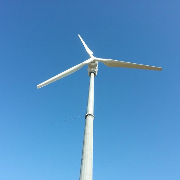 Quality 380V 50KW Wind Turbine Generator System Home Wind Turbine Generator for sale