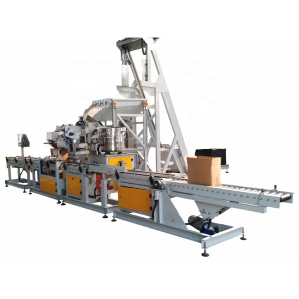 Quality Plastic Bag Fastener Packing Machine for sale