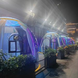 Quality High Quality Outside Commercial Double Dome House Inflatable Bubble Tent House for sale