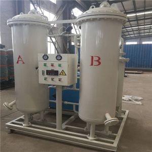 Quality 99%-99.9% PSA Nitrogen Generator 35L Gas Making Machine 99.99% for sale