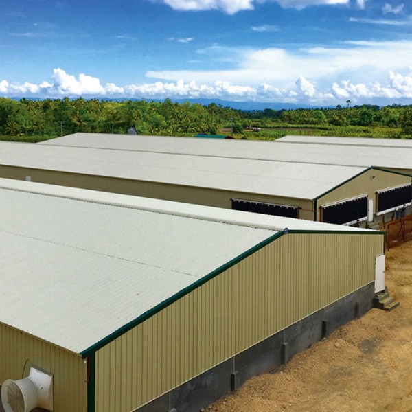 Quality OEM Welding Prefabricated Poultry House Steel Sheet Glass Wool Insualtion for sale