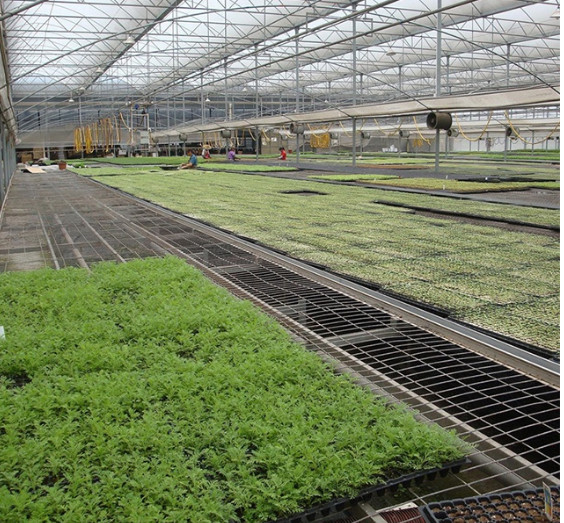 Quality Hot Dip Galvanized Greenhouse Planting Beds for sale