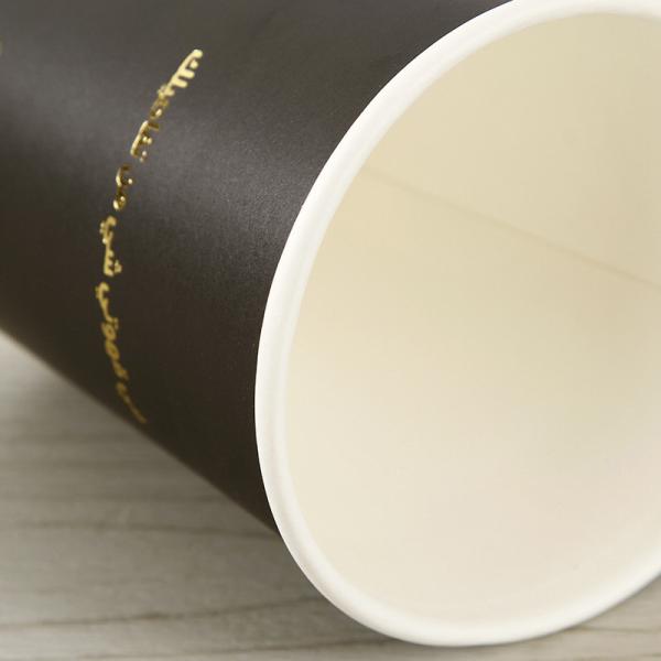 Quality EN13432 Disposable Paper Cups 400Ml 12Oz Custom Takeaway Coffee Cups With Lid for sale