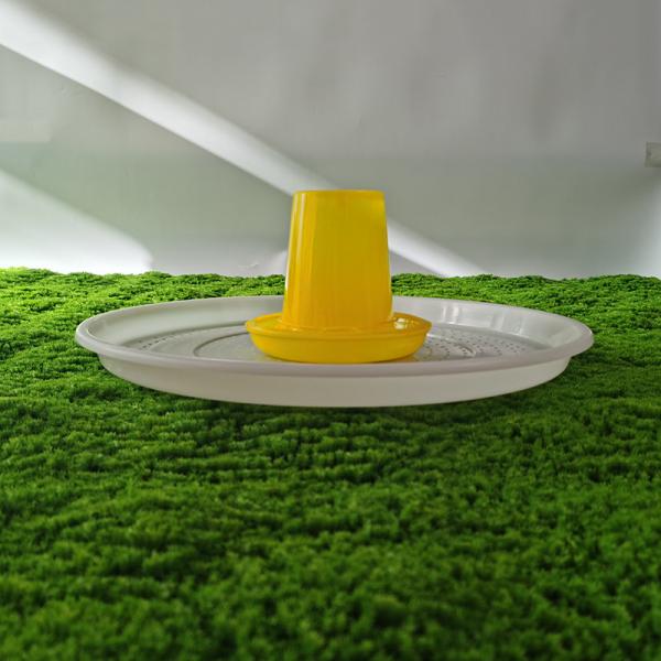 Quality Circular Poultry Feeding Tray Convenient to Operate and Clean for sale