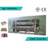 china Fully Auto Molded Tray Making Machine For Egg Tray / Egg Carton / Seeding Cup