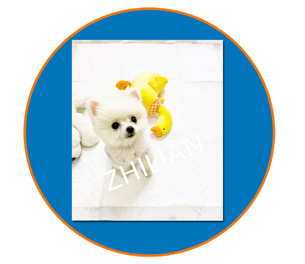Quality 800mm Width Pet Training Pad Pet Pad Machine 200m/min 350 m/min for sale