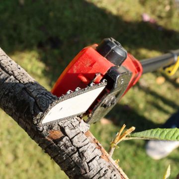 Quality 180-300cm Reach Extendable Battery Pole Saw For High Branch Pruning for sale