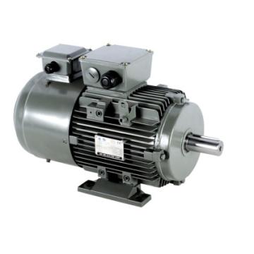 Quality Inverter Duty Induction Motor 3 Phase Aluminum for sale