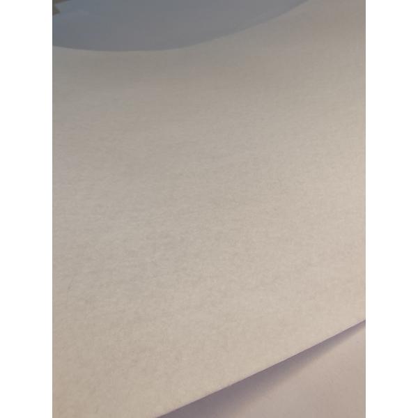 Quality MD 900N/5cm Tensile Strength FR Spunbonded Polyester for Customized Width Applications for sale