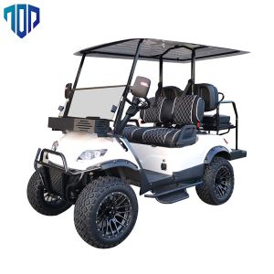 Quality Customizable Color EV2+2G Electrical Golf Cart 25mph Fast Speed for sale