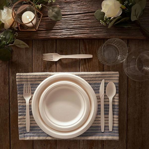 Quality Eco Sustainable Compostable Disposable Plates Cutlery Disposable Take Out Food for sale