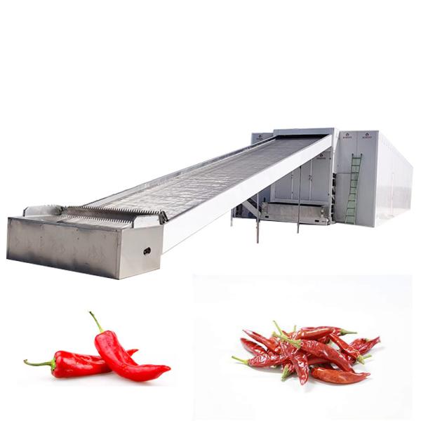 Quality Vegetables Chili Seafood Mesh Belt Dryer Intelligent Temperature Control for sale