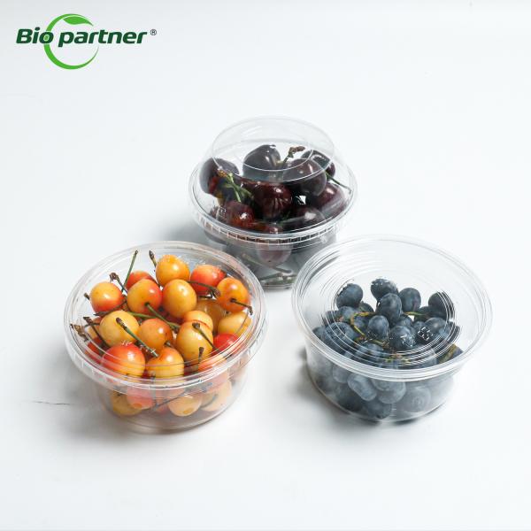 Quality Custom Fruit Salad Pre cut Fruit Vegetable Cutting Cup 16 Oz Plastic Deli for sale