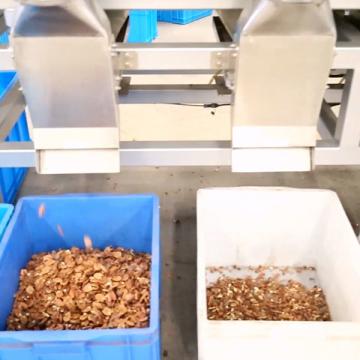 Quality 380V Operated Pecan Shelling Machine With CE Certification for sale