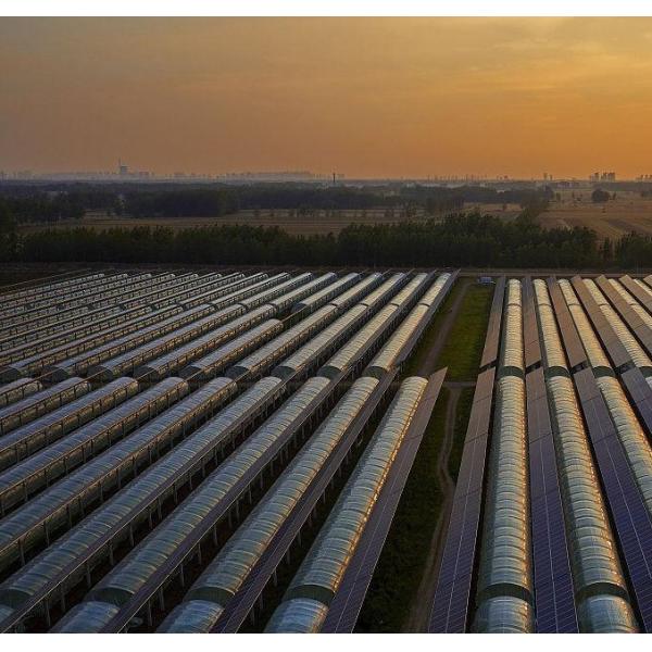 Quality Innovative Single/Multi Span Photovoltaic Commercial Greenhouses for Sustainable for sale