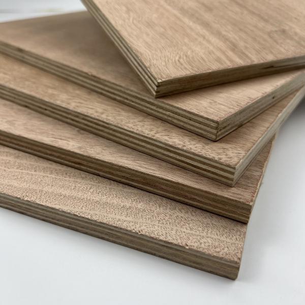Quality Furniture Hardwood Veneer Plywood 2440x1220x18mm Mildewproof for sale