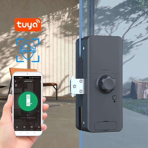 Quality Tuya Remote Control Face Recognition Door Lock Face Identify Office Glass Door for sale
