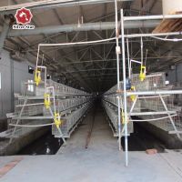Quality Q235 Battery Cages Laying Hens Chicken Farming Materials A Type for sale