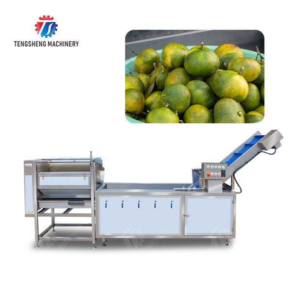 Quality Citrus cleaning production line Fruit Orange Wash Washer Washing Cleaning Dryer for sale