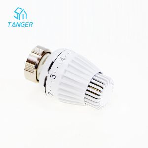 Quality Thermostatic Radiator Head for sale