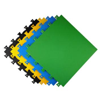 Environmental Friendly Safety Small Backyard Basketball Court With SVHC