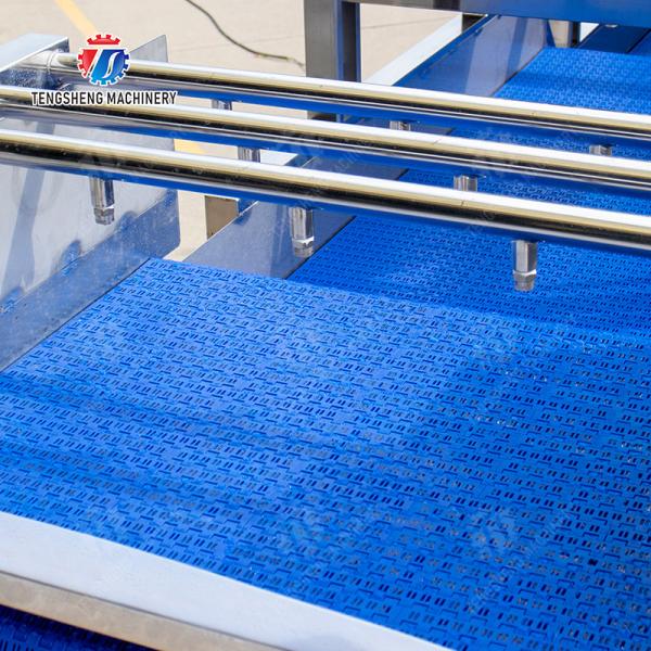 Quality vegetable drying equipment Fruit and vegetable selection washing and drying for sale