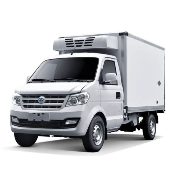 Quality Y2023 DFSK EC31 Mini Electric Truck 1.0T Loading Refrigerator Small Electric Truck for sale