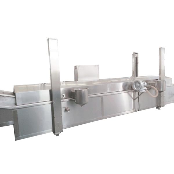 Quality Automat Potato Chips Frying Machine Chicken Deep Fryer Machine for sale