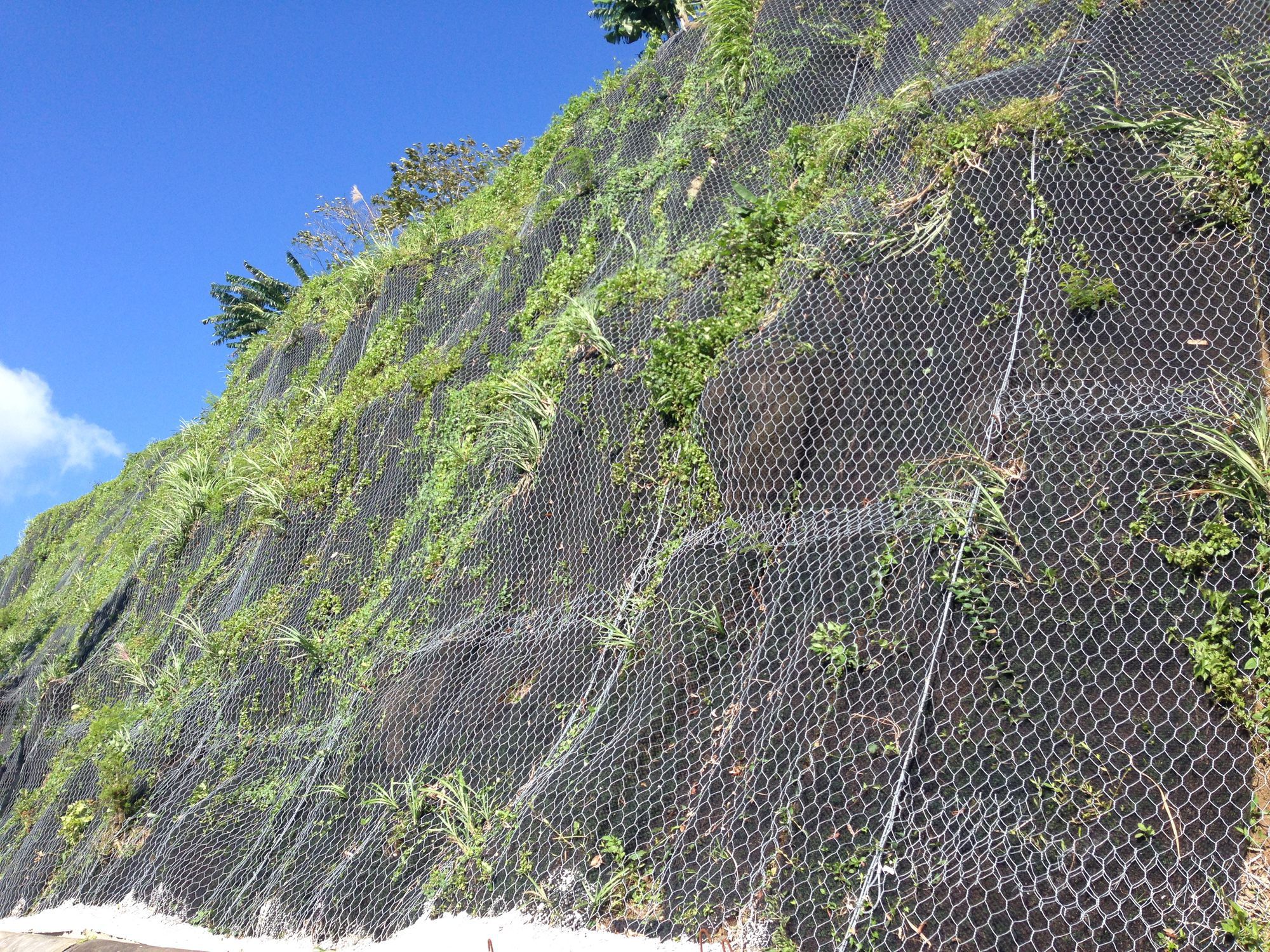 Rock Fall Protection Netting