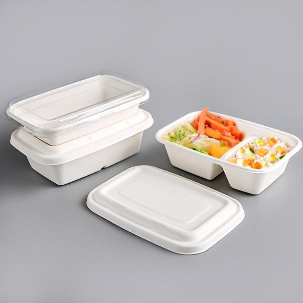 Quality Leak Proof Sugarcane Fiber Pulp Disposable Food Container Biodegradable for sale
