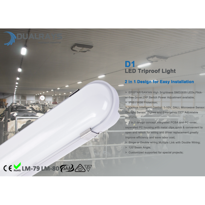 600mm 20W LED Tri-proof light 2400lm and 5 Years Warranty