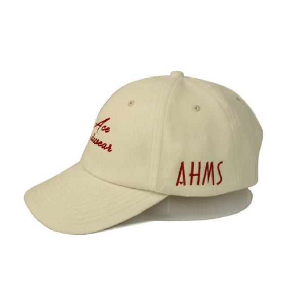 Quality Embroidery Customized Logo Cotton Made Baseball Cap Sport Golf Cap for sale