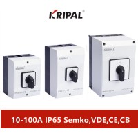 Quality Purple Horn 10-100A IP65 Waterproof Changeover Switch RoHS Standard for sale