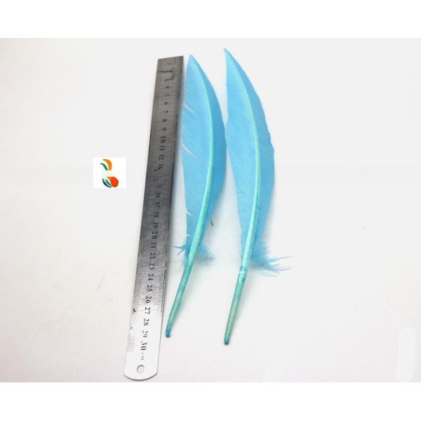 Quality 25-30cm Stripped Colored Turkey Feathers Quill Dyed For Decorative for sale