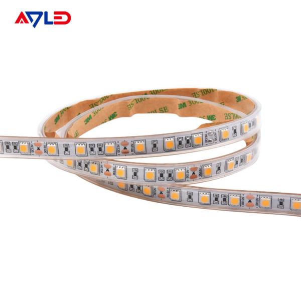 Quality Waterproof 5050 Single Color LED Strip Lights 12V 24V Warm White Blue Green Outdoor IP65 IP68 for sale