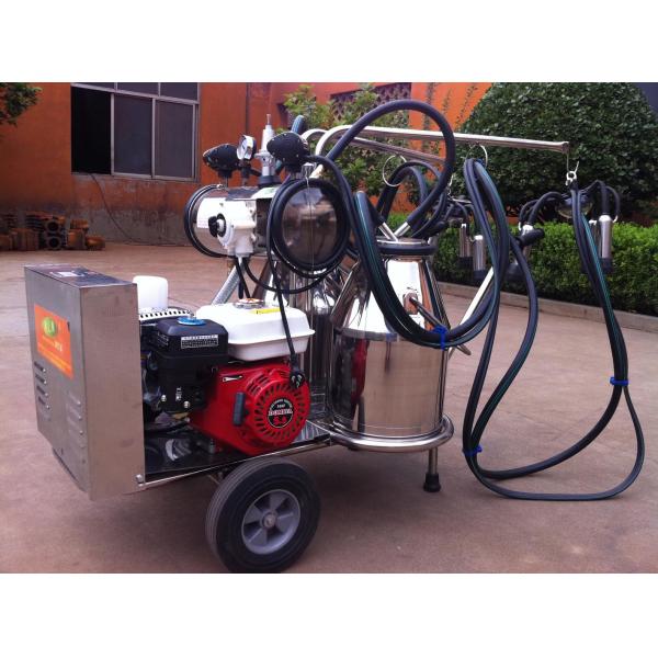 Quality Portable Food Grade SS Mobile Milking Machine With Gasoline Engine for sale