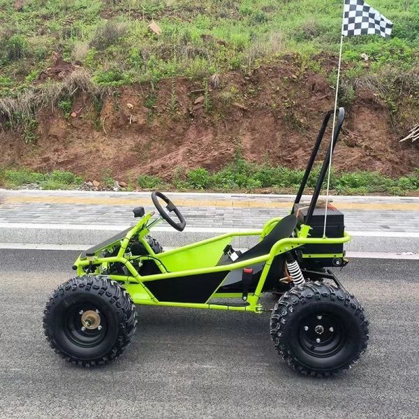 Quality Snow and Sand Tracks 1000W Shaft Drive Go Kart Aotong Motor Electric Golf Buggy for sale