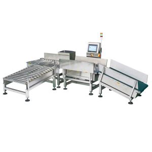 Quality Stainless Steel Conveyor Weight Checker 110v / 220v With Reject System for sale