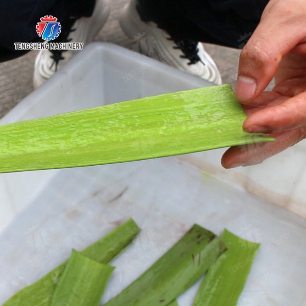 Quality Aloe peeling machine processing production Peeling Machine for sale