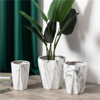 Quality Creative Garden Succulent Pot Home Balcony Decoration Big Marble Ceramic Plant for sale