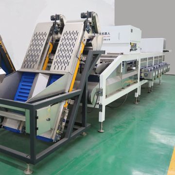 Quality 8 Lanes 8 Expectation Discharges Dates Sorting Machine High Output for sale