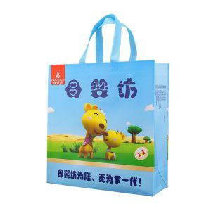 Quality Reusable Shopping Bag 122gsm Biodegradable Polypropylene Non Woven Bags Shrink for sale