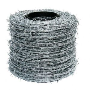 Quality Safety Fence Galvanized Razor Barbed Wire 1.6-3.2mm Wire Diameter 7.5cm-15cm for sale
