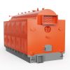china DZL Series Biomass Coal-fired Steam Boiler Customized