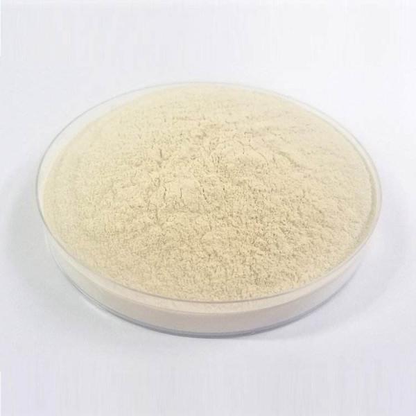 Quality High Purity Gelatin In Capsules 25kg for sale